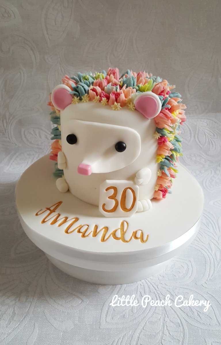 Large hedgehog cake – Little Peach Cakery